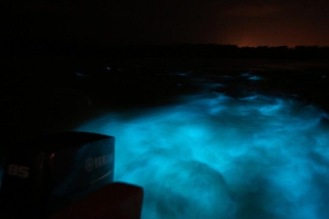Luminous Lagoon-Night Tour (Falmouth, Ocho Rios or Montego) - Discover the Magic of Jamaica’s Luminous Lagoon Night Tour