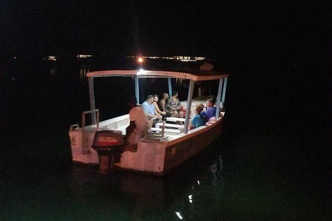 Luminous Lagoon Night Tour from Montego Bay - FAQ