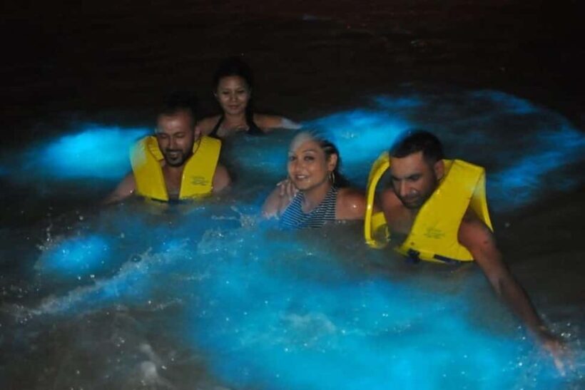 Luminous lagoon : Night Tour from montego bayOcho Rios - Authentic Experiences and Reviews