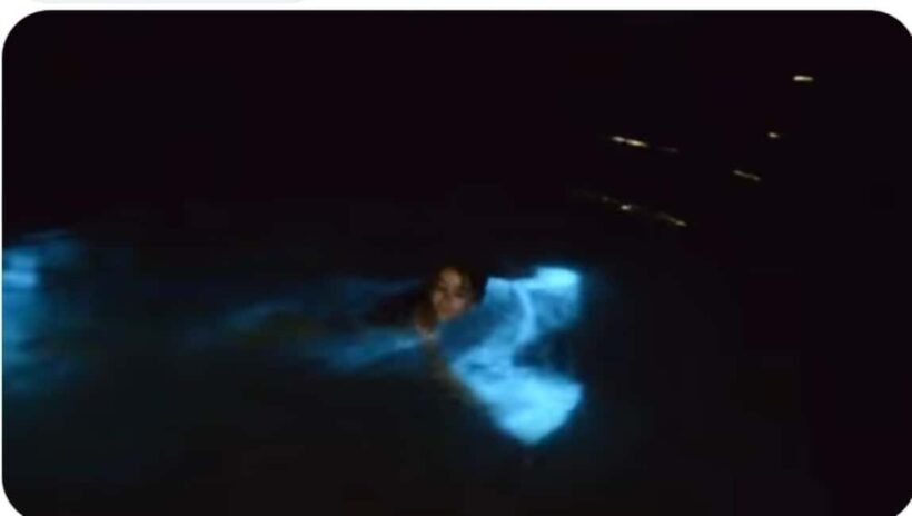 Luminous lagoon : Night Tour from Ocho Rios and Runaway Bay - What Is the Luminous Lagoon Experience?