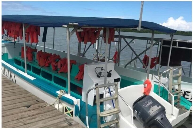 Luminous lagoon : Night Tour from Ocho Rios and Runaway Bay - The Practicalities: Pricing, Duration, and What to Bring