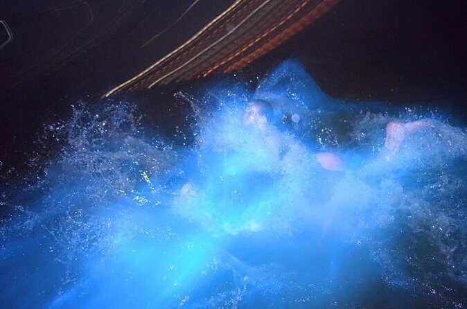 Luminous Lagoon Night Tour from Ocho Rios - Details That Matter