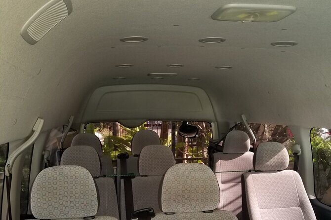 Luminous Lagoon Private Night Tour [ All Fees included ] - Key Points