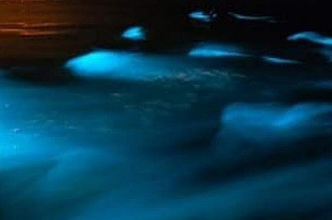 Luminous Lagoon Private Night Tour From Negril - FAQs