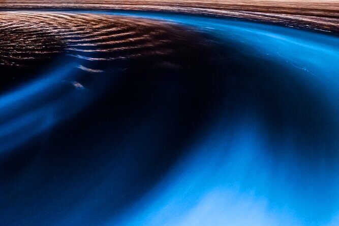 Luminous Lagoon Private Tour in Jamaica - A Quick Overview