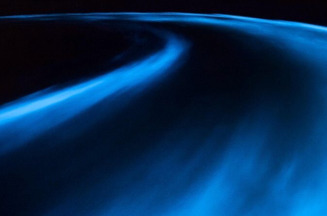 Luminous Lagoon Private Tour in Jamaica - Transportation and Practicalities