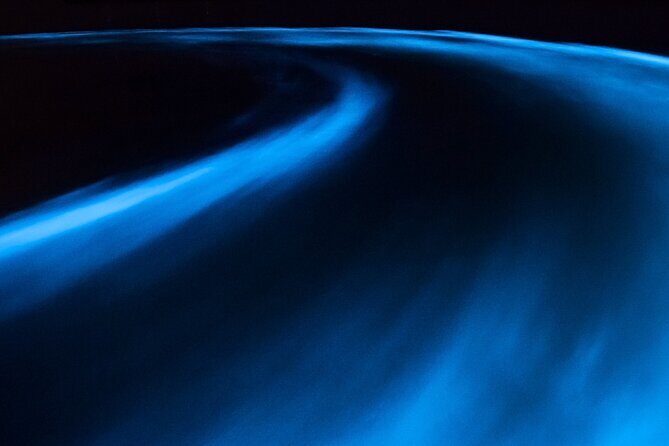 Luminous Lagoon Private Tour in Jamaica - Pricing and Value