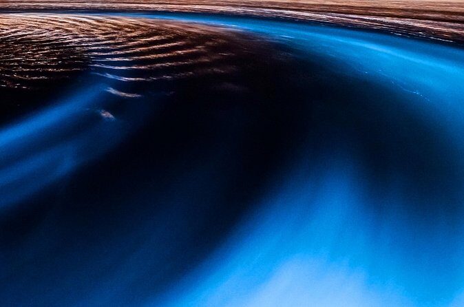 Luminous Lagoon Private Tour in Jamaica - Who Should Consider This Tour?