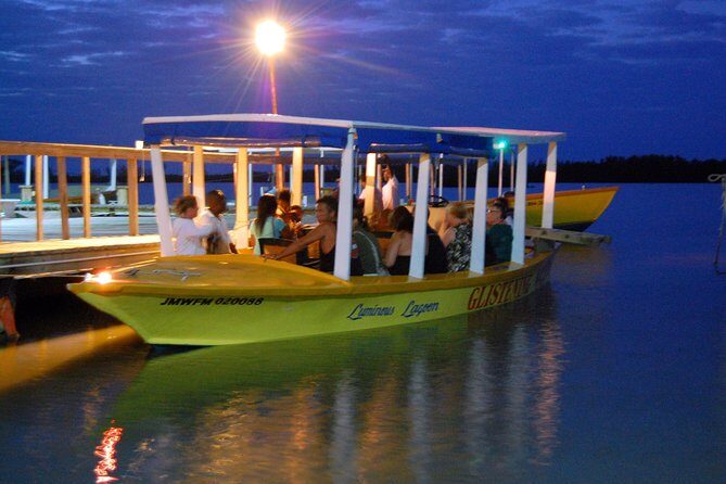 Luminous Lagoon Small Group Tour from Montego Bay - The Journey to Falmouth and the Lagoon