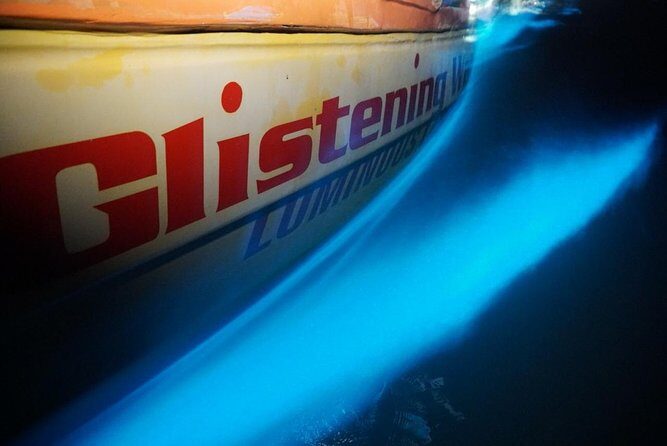 Luminous Lagoon Small Group Tour from Montego Bay - The Reviews and Real Experiences