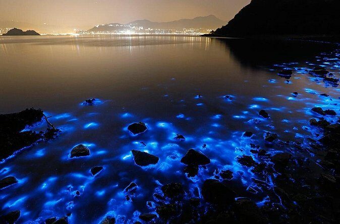 Luminous Lagoon Small Group Tour from Ocho Rios - Frequently Asked Questions