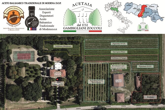 Lunch and Tasting of Traditional Balsamic Vinegar of Modena - Meeting and Logistics