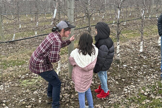 Lunch and Tour of an Apple Orchard with a Farmer in Elyria - Transportation and Logistics