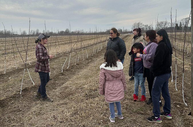 Lunch and Tour of an Apple Orchard with a Farmer in Elyria - The Authentic Touch