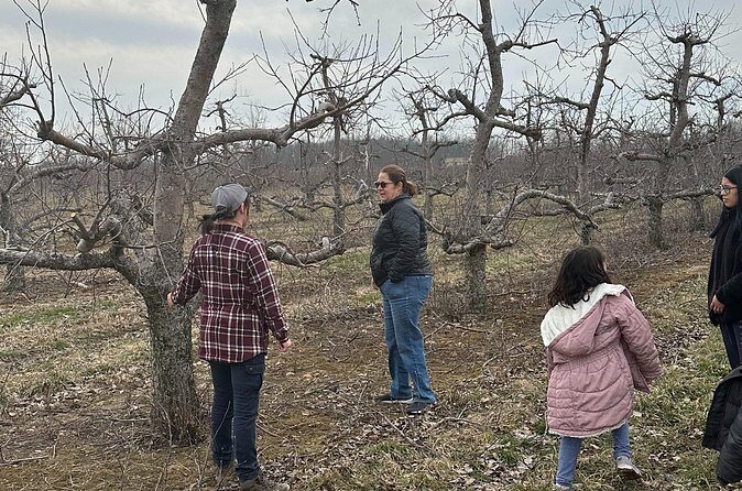 Lunch and Tour of an Apple Orchard with a Farmer in Elyria - Who Should Consider This Tour?