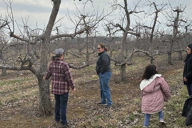 Lunch and Tour of an Apple Orchard with a Farmer in Elyria - FAQ about the Apple Orchard Tour in Elyria
