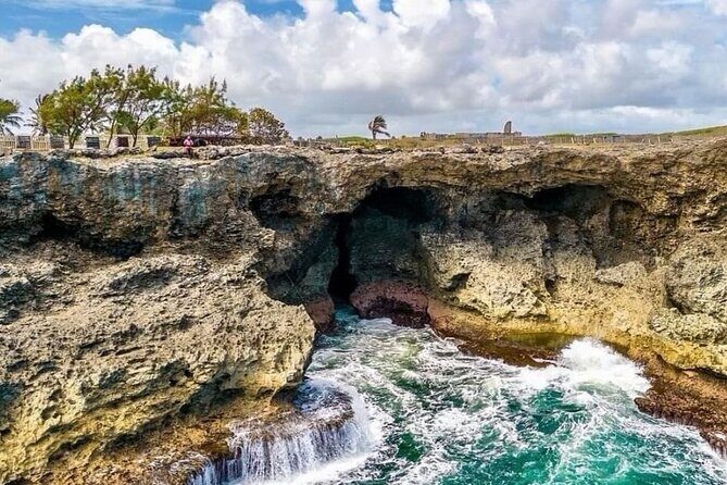 Lunch At Animal Flower Cave with Scenic Drive of Barbados - FAQs