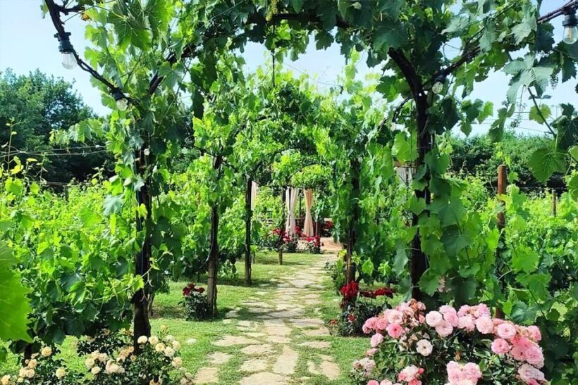 Lunch in the garden and Wine Tasting - Introduction: A Taste of Tuscany’s Charm