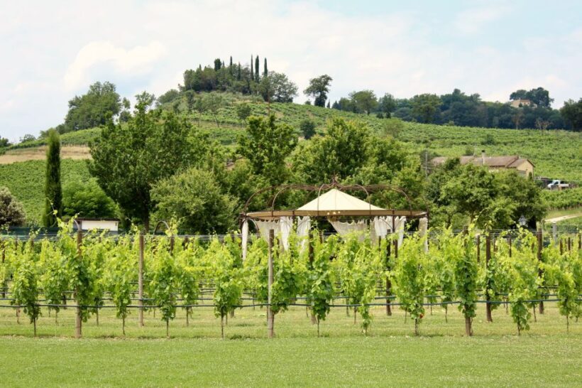Lunch in the garden and Wine Tasting - Key Points