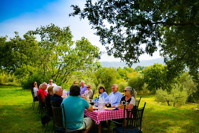 Lunch in the Olive Grove - Key Points