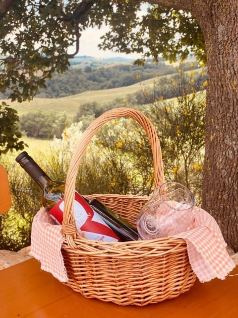 Lunch Picnic in the scenic hills of Maremma Tuscany - Who Will Love This Experience?