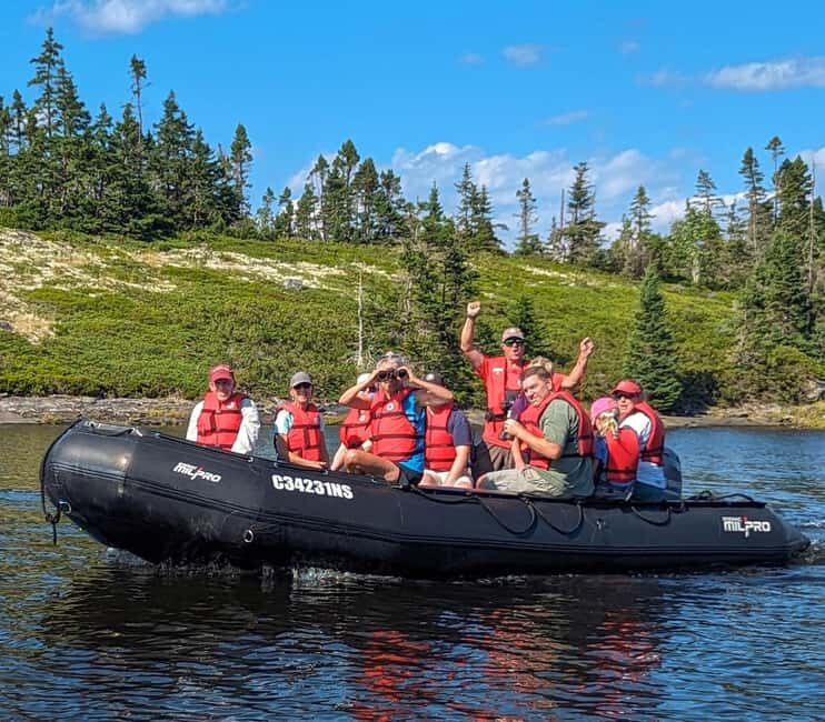 Lunenburg: Zodiac Wildlife Tour with Naturalist Guide - Key Points