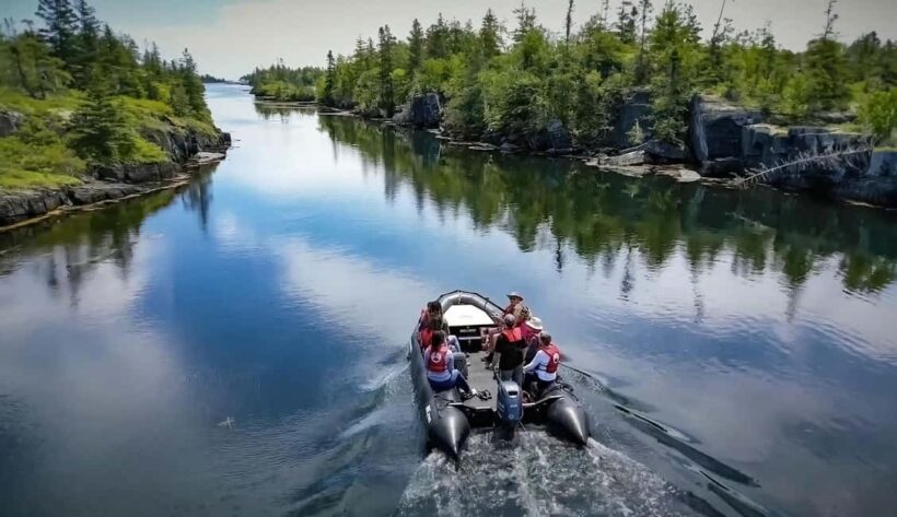 Lunenburg: Zodiac Wildlife Tour with Naturalist Guide - An Overview of the Zodiac Wildlife Experience
