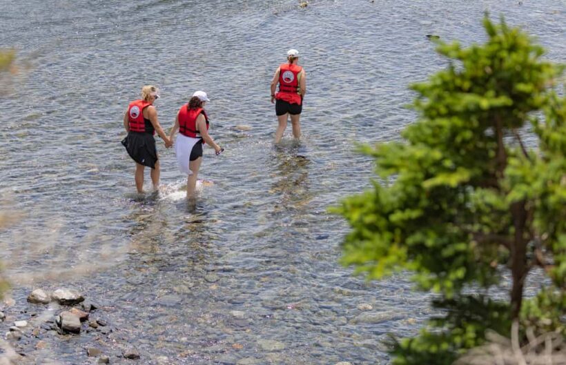 Lunenburg: Zodiac Wildlife Tour with Naturalist Guide - The Itinerary: What to Expect