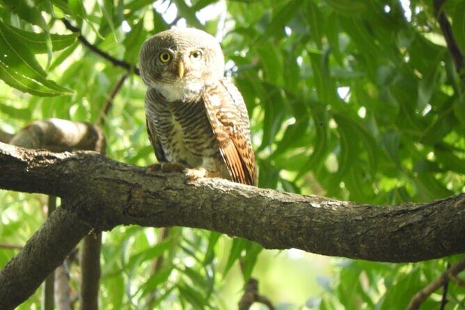 Lunugamvehera National Park Private Safari - Final Thoughts