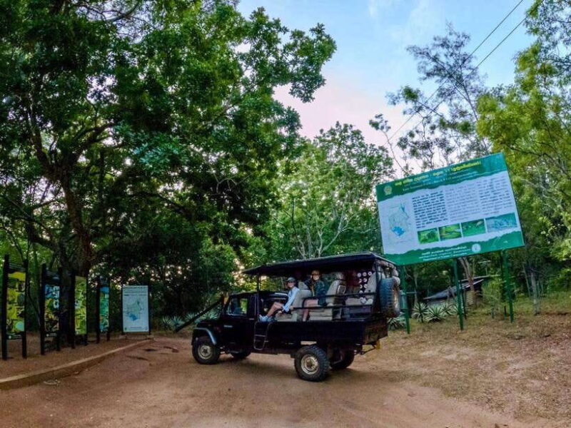 Lunugamwehera NP (Block VI) Morning Safari Game Drive - The Scenic Stop and Refreshments