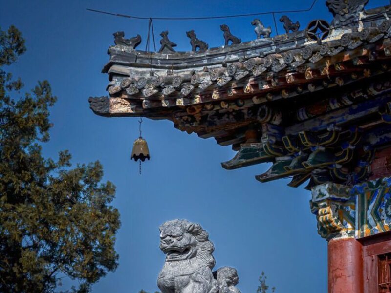 Luoyang: Longmen Grottoes and White Horse Temple Guided Tour - Is This Tour Right for You?