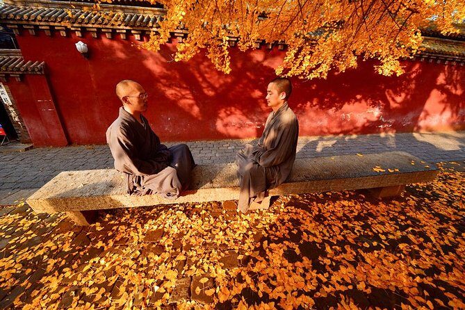 Luoyang Private Day Tour of Shaolin Temple and Longmen Grottoes - Practical Details and Tips
