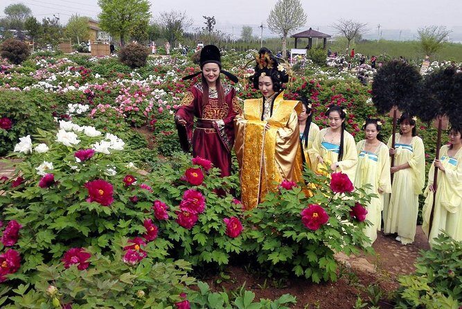 Luoyang Private Tour to Longmen Grottoes and Peony Blossom Sightseeing - FAQ