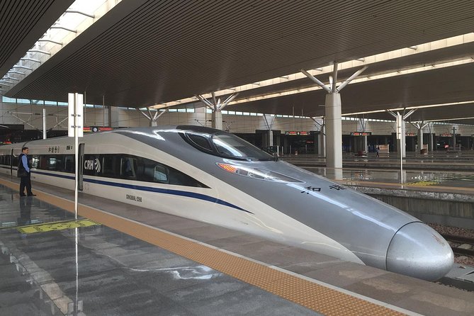 Luoyang & Shaolin Temple Day Trip from Xian by High-speed Train - The Sum Up: Is This Tour for You?