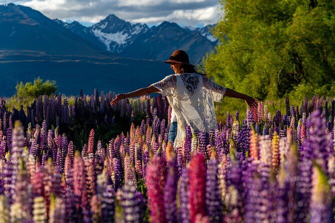 Lupin Flowers Tour Lake Tekapo - Exploring the Lupin Flowers Tour Lake Tekapo: A Detailed Review