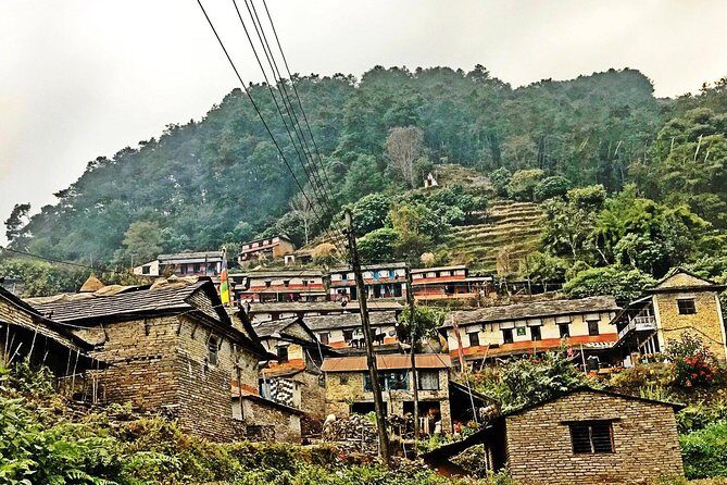 Luwang Village Home Stay Easy Trek with Tea Garden Visit - What We Love About This Tour