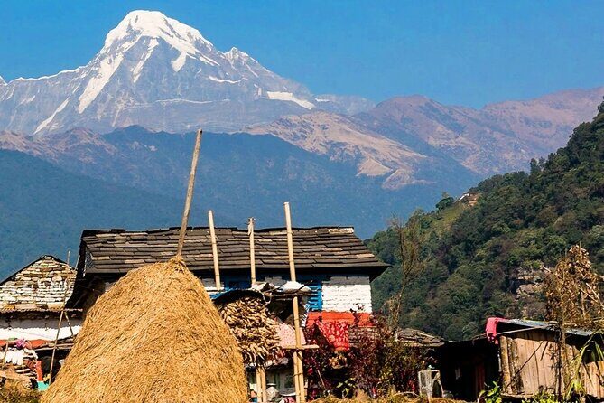 Luwang Village Home Stay Easy Trek with Tea Garden Visit - FAQ