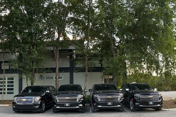 Luxe Black Car Transfer  Cap Cana, Bavaro & Punta Cana Airport - Who Is This Transfer Best For?