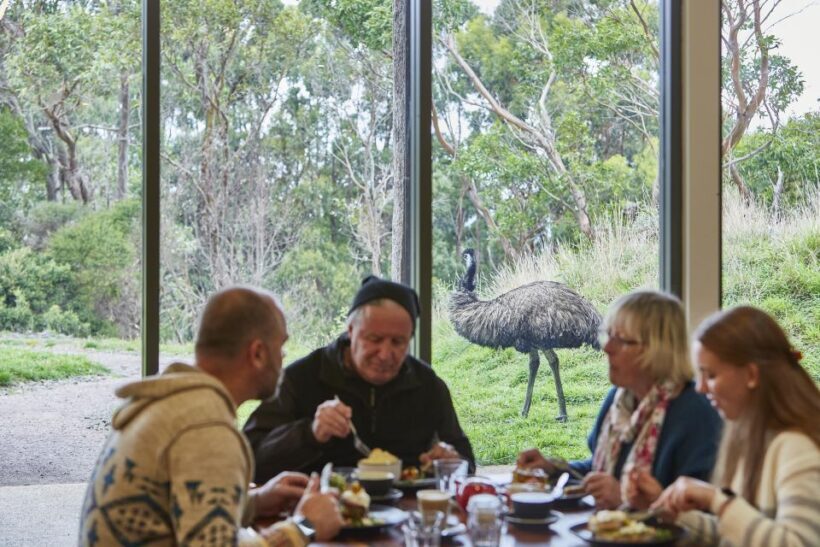 Luxe Bus Great Ocean Road Coastal Spectacular - The Perfect Balance of Comfort and Adventure