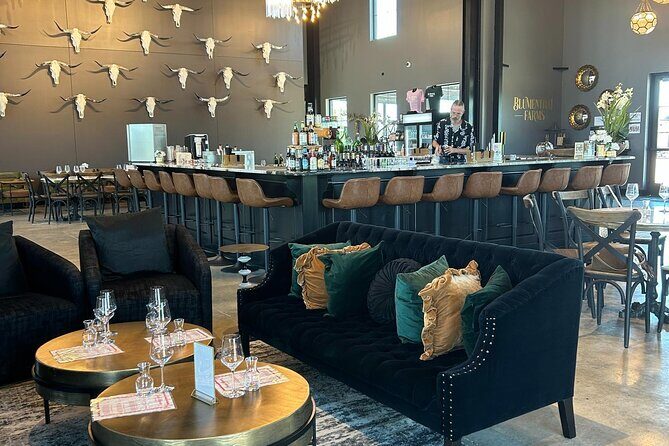 Luxe Hill Country Private Wine Adventure with Gourmet Lunch - Who Will Love This Tour?