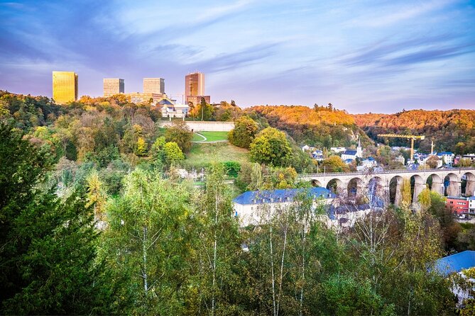 Luxembourg City Walking Tour - Accessibility and Cancellation Policy