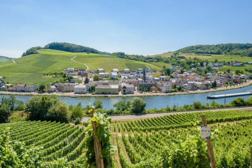Luxembourg: Moselle Day Trip with Wine Tasting and Boat Tour - The Sum Up