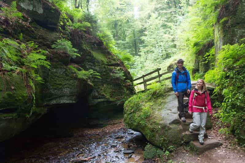 Luxembourg: Nature, History and Castles Full-Day Tour - Discovering Luxembourg: Nature, History, and Castles in One Day