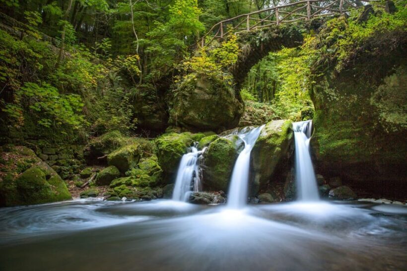 Luxembourg: Nature, History and Castles Full-Day Tour - Key Points