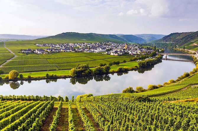 Luxembourg Private 1-Day Tour - Indulging in Wine Tasting