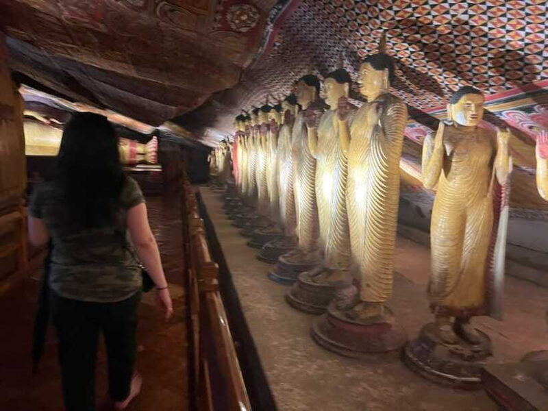 Luxurious All Inclusive Sigiriya & Dambulla Day Tour - Who Is This Tour Best For?