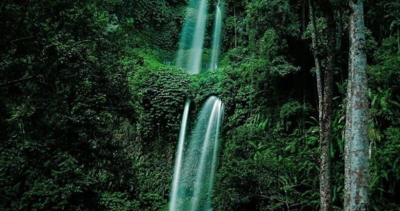 luxurious sendang gila, tiukelep waterfal & selong hill tour - The Sum Up