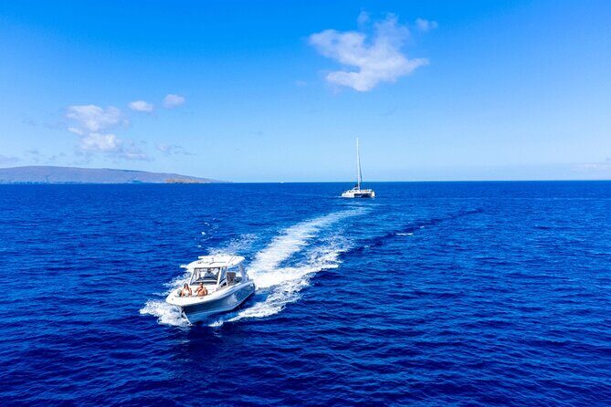 Luxury 6 passenger Boston Whaler Private Charter - The Value of a Private Maui Sea Tour
