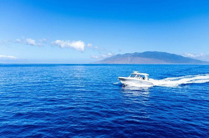 Luxury 6 passenger Boston Whaler Private Charter - FAQ