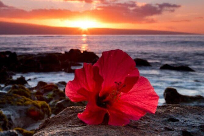 Luxury Airport Transfer in Hawaii - Authentic Traveler Perspectives